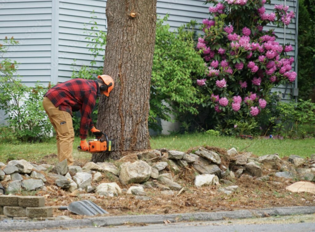 Tree Service RI - Professional & Reliable | RI Tree Service Pros